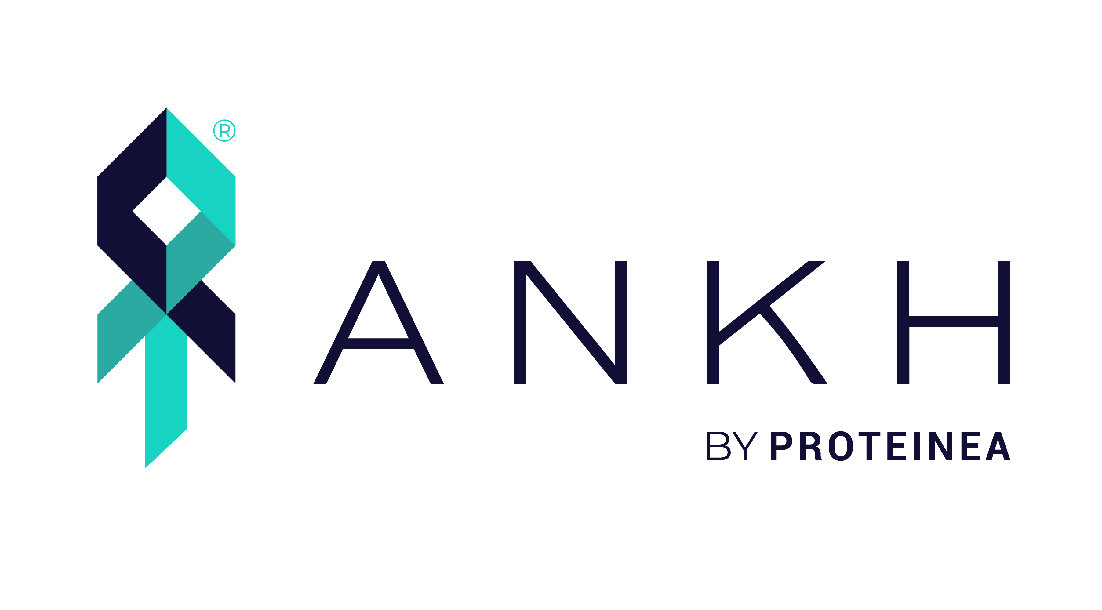 Ankh: Pioneering the paradigm shifting technology of protein language models